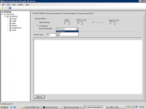 7.1. IBM Tivoli FlashCopy Manager Backup - TSM – IBM Tivoli Storage ...